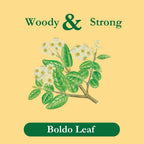 caffeine free herbal tea option