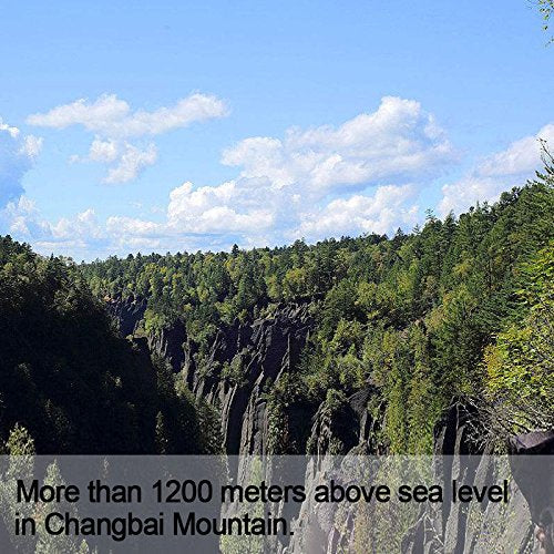 Caffeine-free herbal tea option