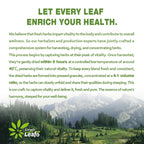 caffeine-free herbal tea option