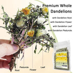 caffeine-free herbal tea option