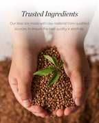 caffeine-free herbal tea option