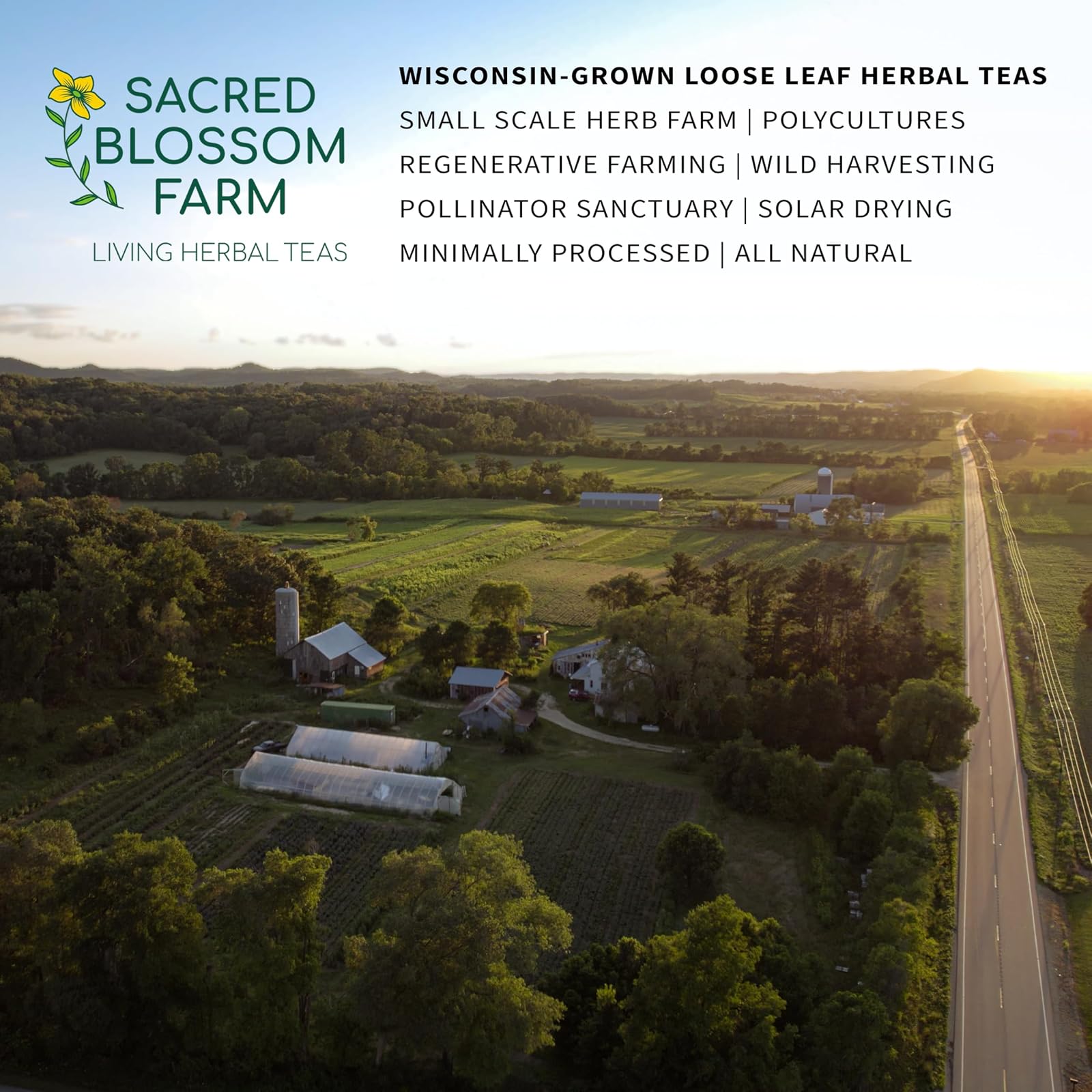 caffeine-free herbal tea option