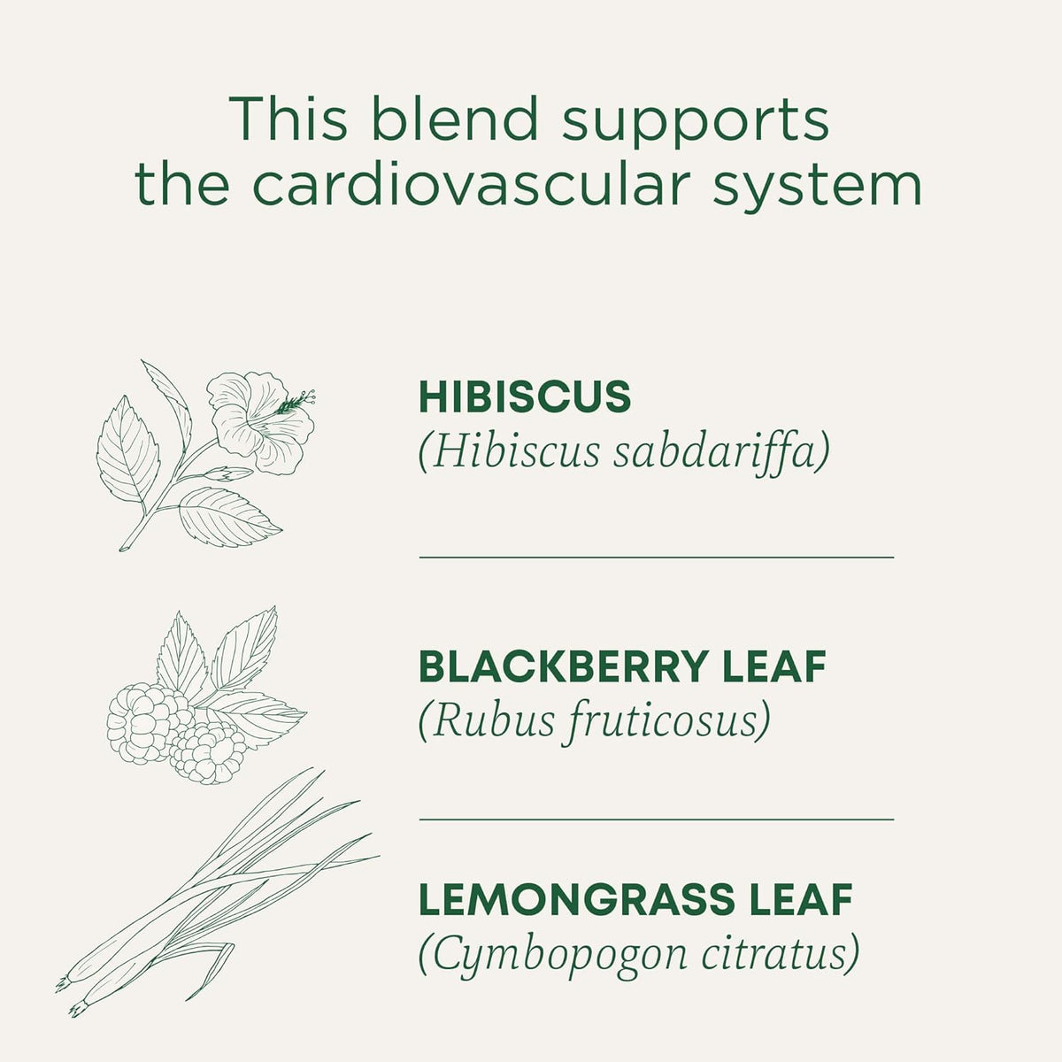 caffeine-free herbal tea option