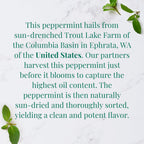 Caffeine-free herbal tea option