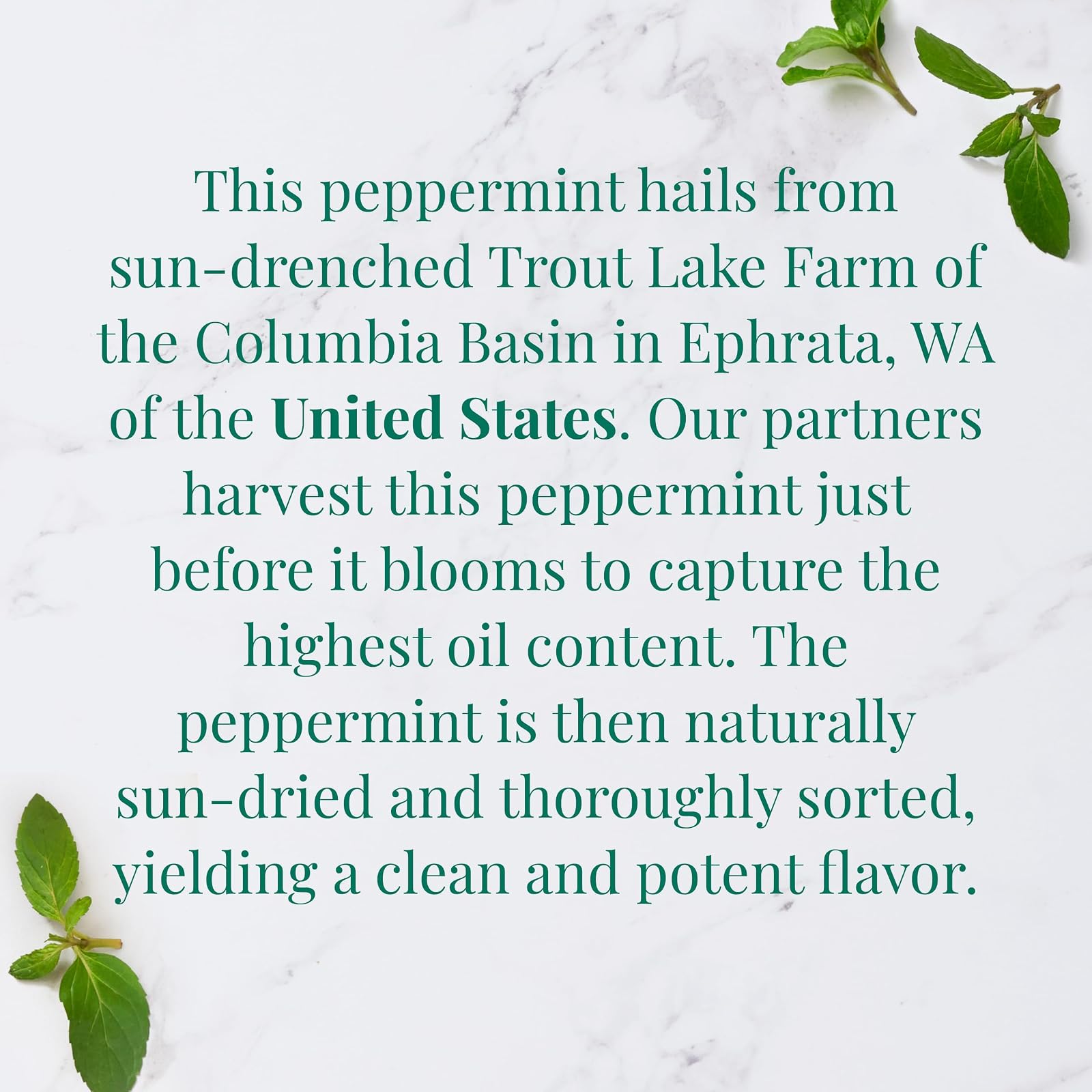 Caffeine-free herbal tea option