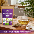 caffeine-free herbal tea option