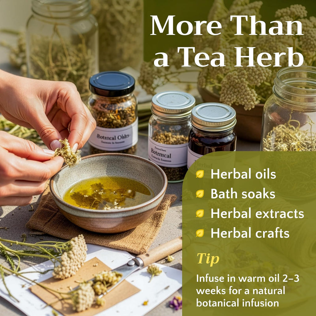 Caffeine-free herbal yarrow tea