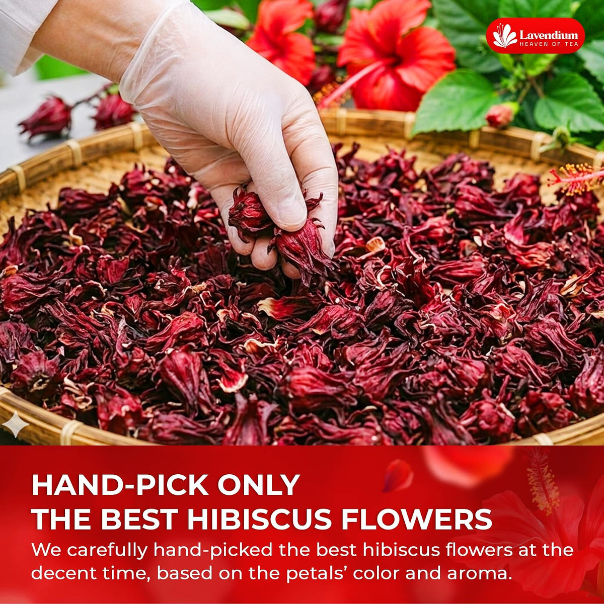 caffeine-free hibiscus herbal infusion