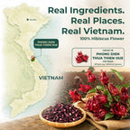 caffeine-free hibiscus herbal infusion