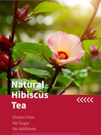 caffeine-free hibiscus herbal infusion
