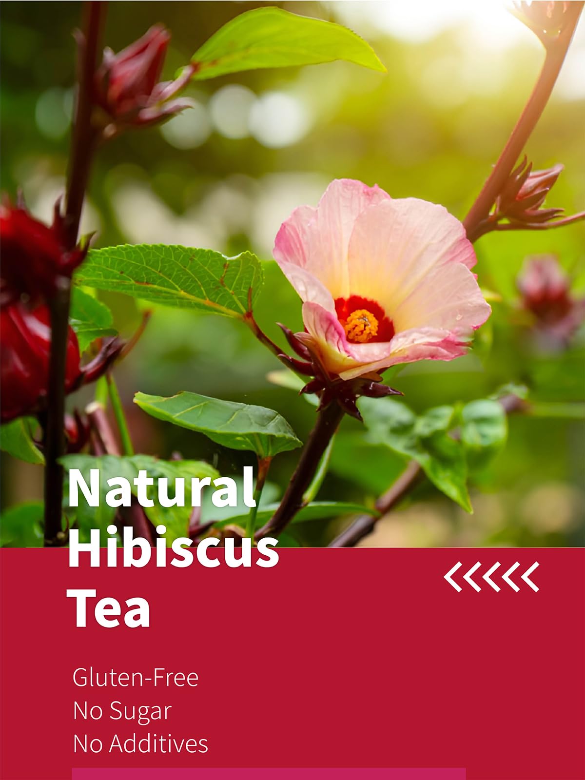 caffeine-free hibiscus herbal infusion