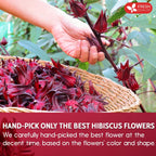 caffeine-free hibiscus herbal tea blend