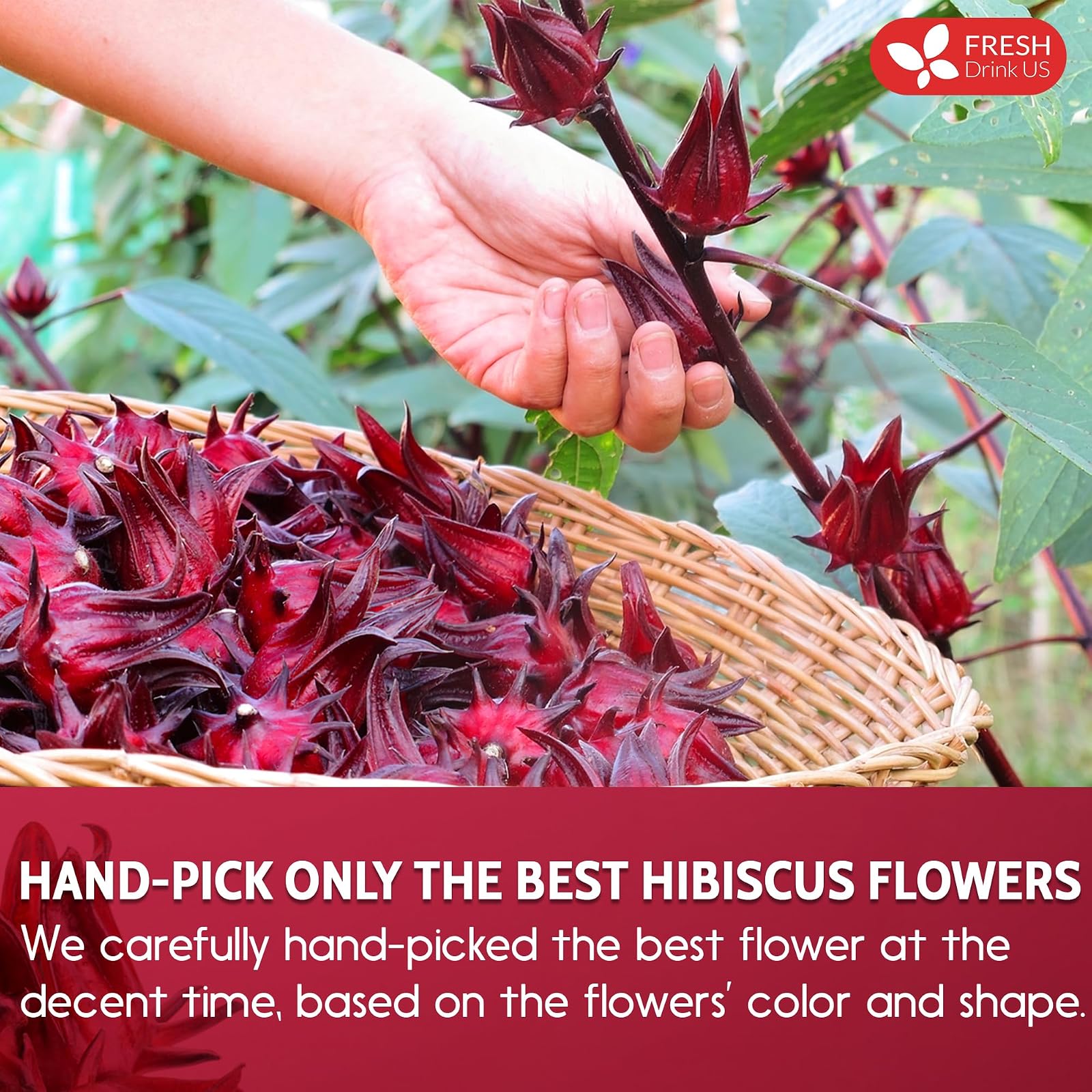 caffeine-free hibiscus herbal tea blend