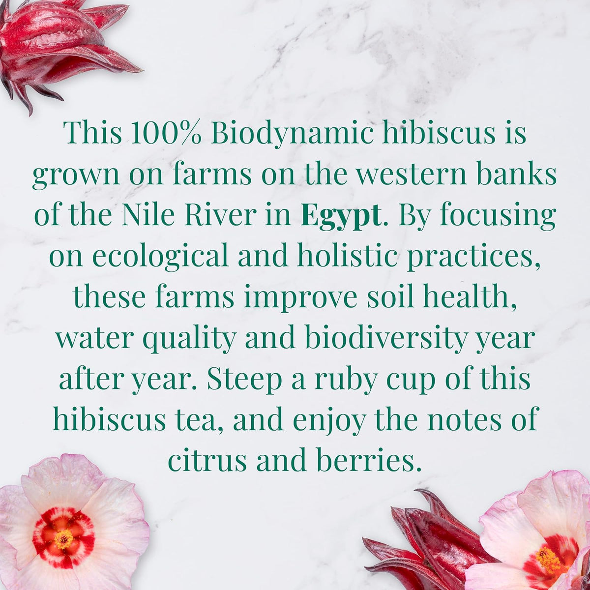 caffeine-free hibiscus tea blend