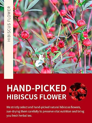 caffeine-free hibiscus tea