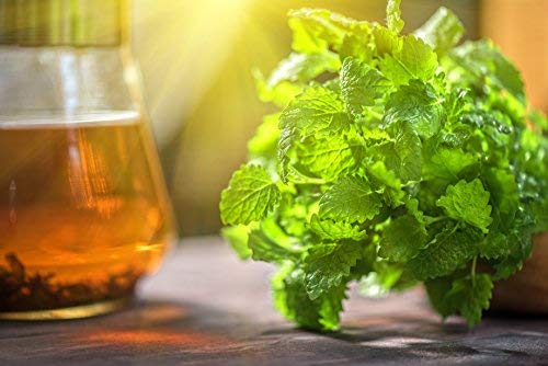 caffeine-free lemon balm herbal infusion