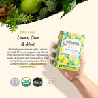 caffeine-free lemon lime mint infusion