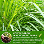 caffeine-free lemongrass herbal tea blend
