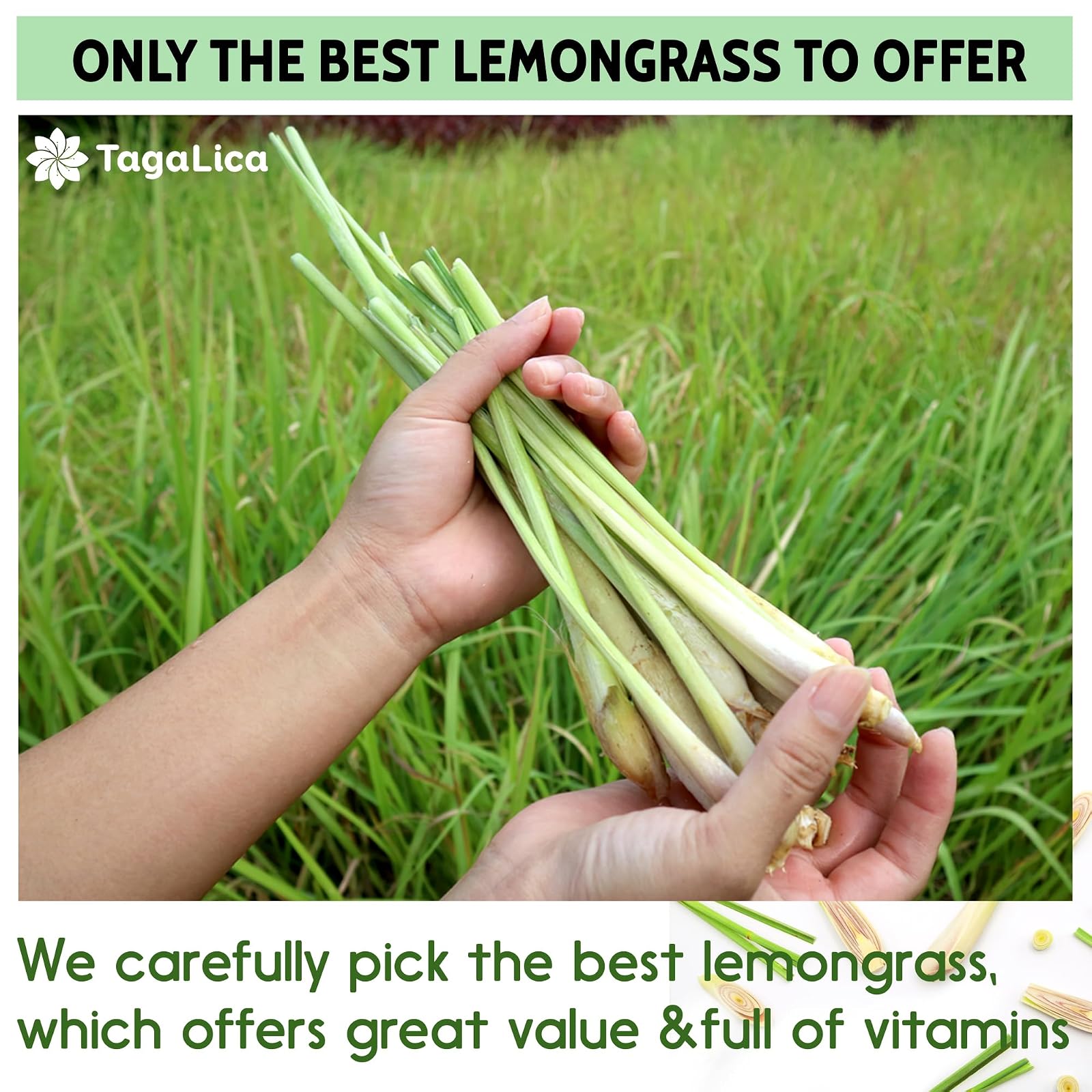 caffeine-free lemongrass tea experience