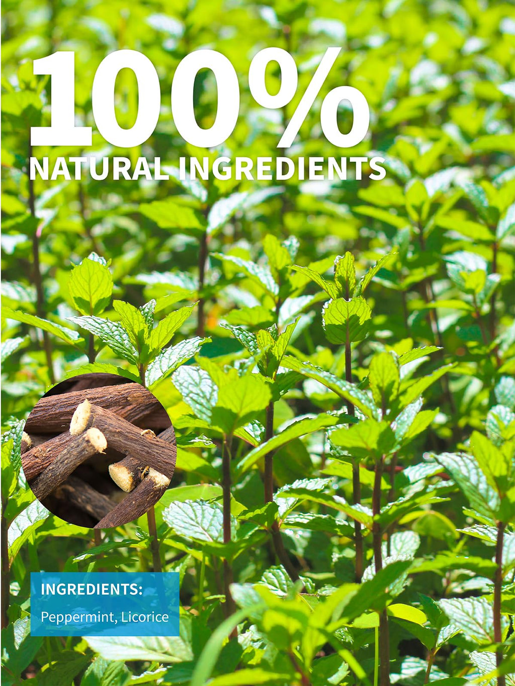 caffeine-free licorice peppermint blend