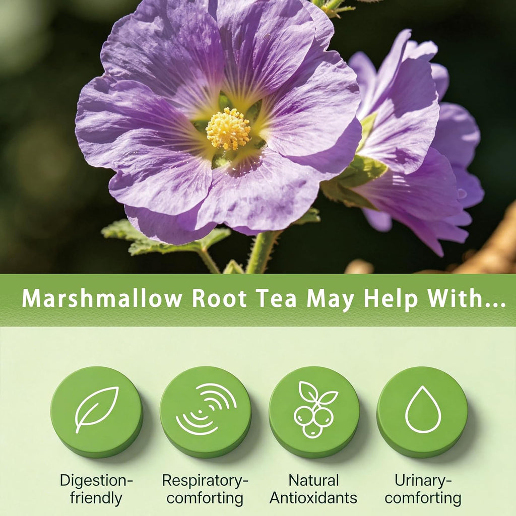 caffeine-free marshmallow root herbal infusion