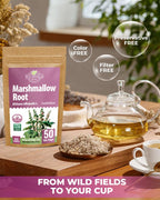 Caffeine-free marshmallow root infusion