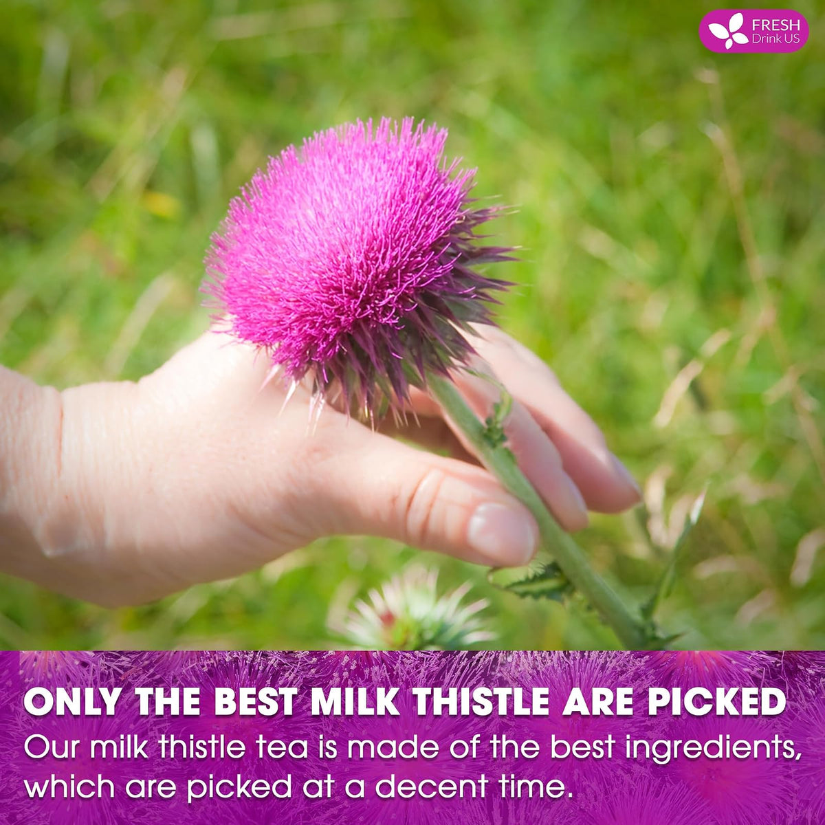 Caffeine-free milk thistle tea bags