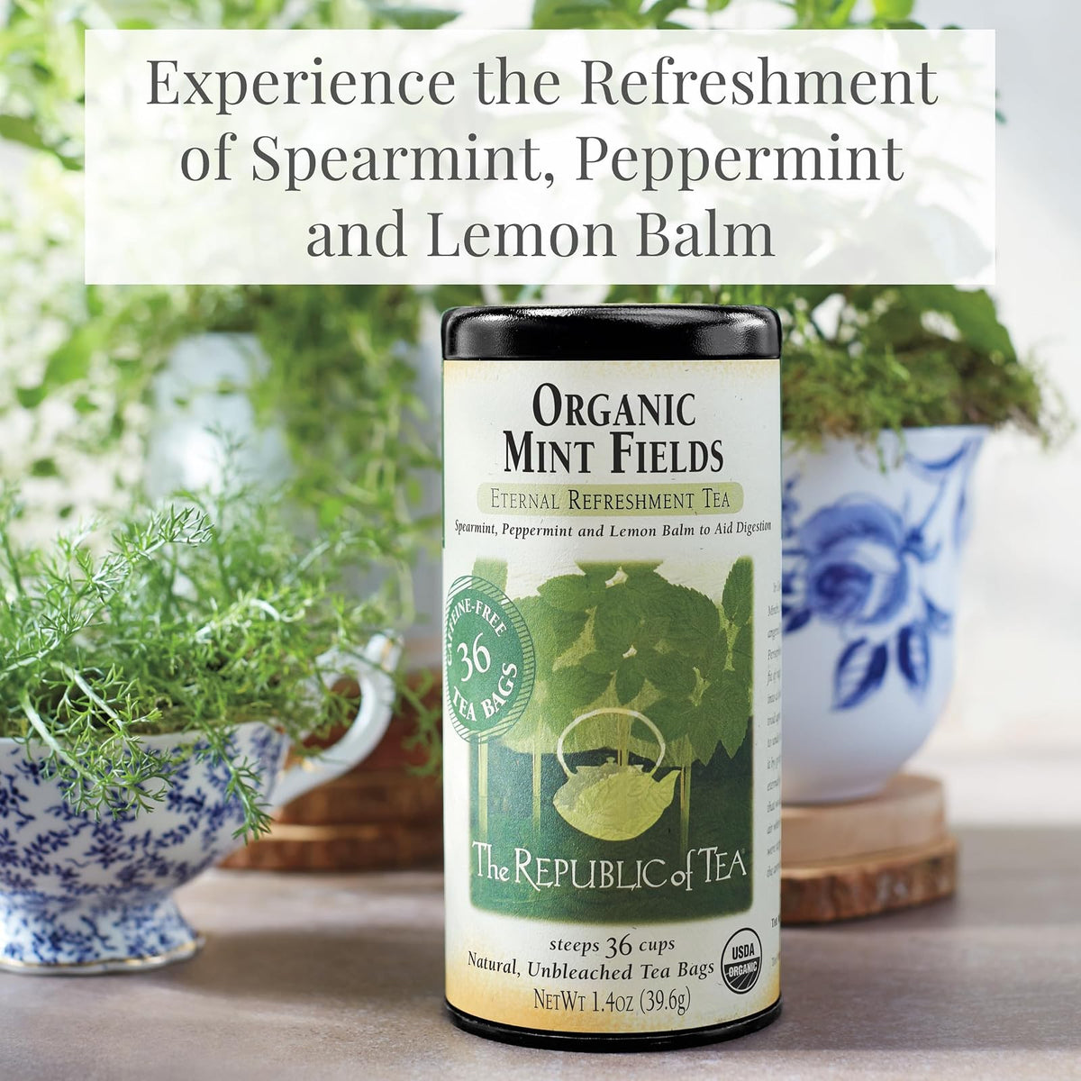 caffeine-free mint herbal tea blend