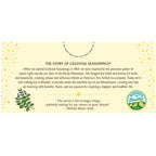 caffeine-free mint magic tea