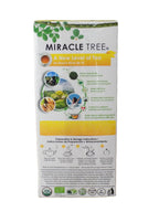 caffeine-free moringa herbal infusion