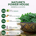 Caffeine-free Moringa Oleifera infusion