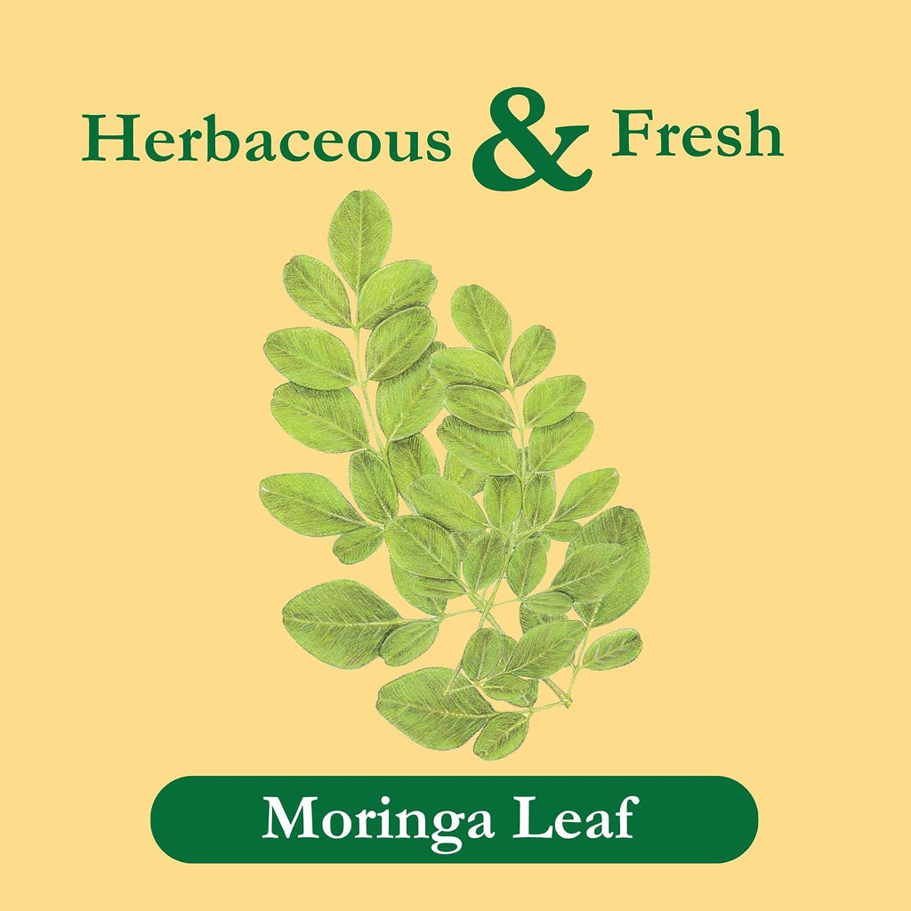 caffeine free moringa tea benefits