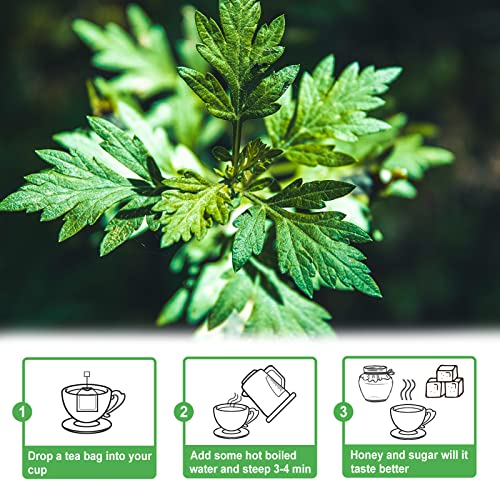 caffeine-free mugwort herbal tea