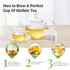 caffeine-free mullein herbal infusion