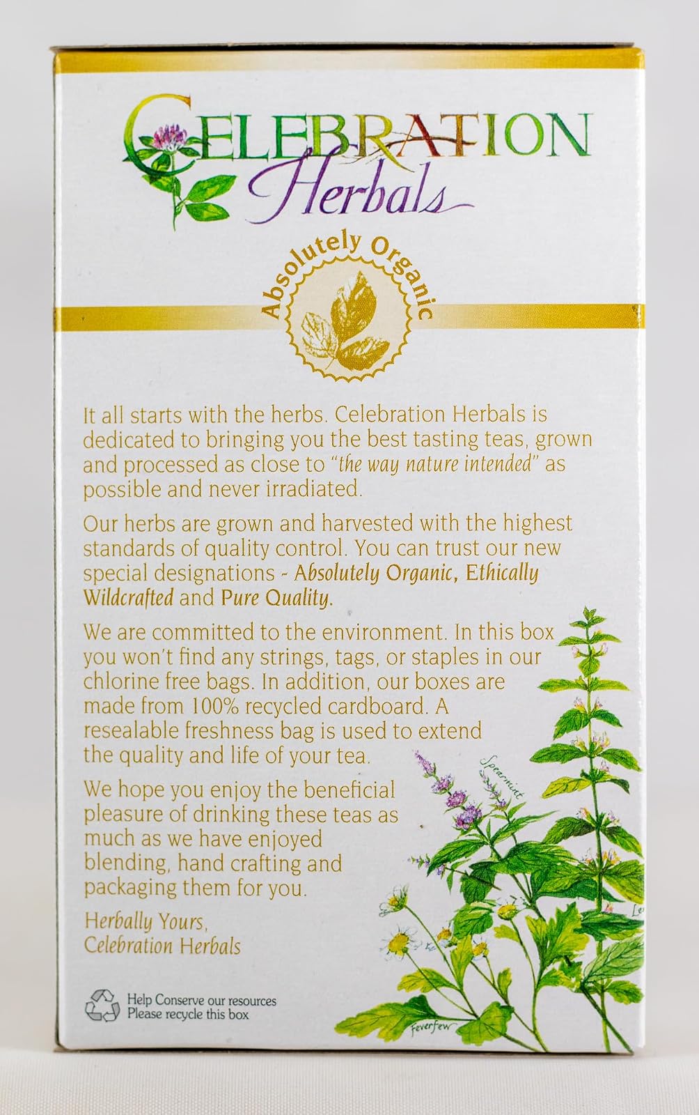 caffeine-free mullein leaf infusion