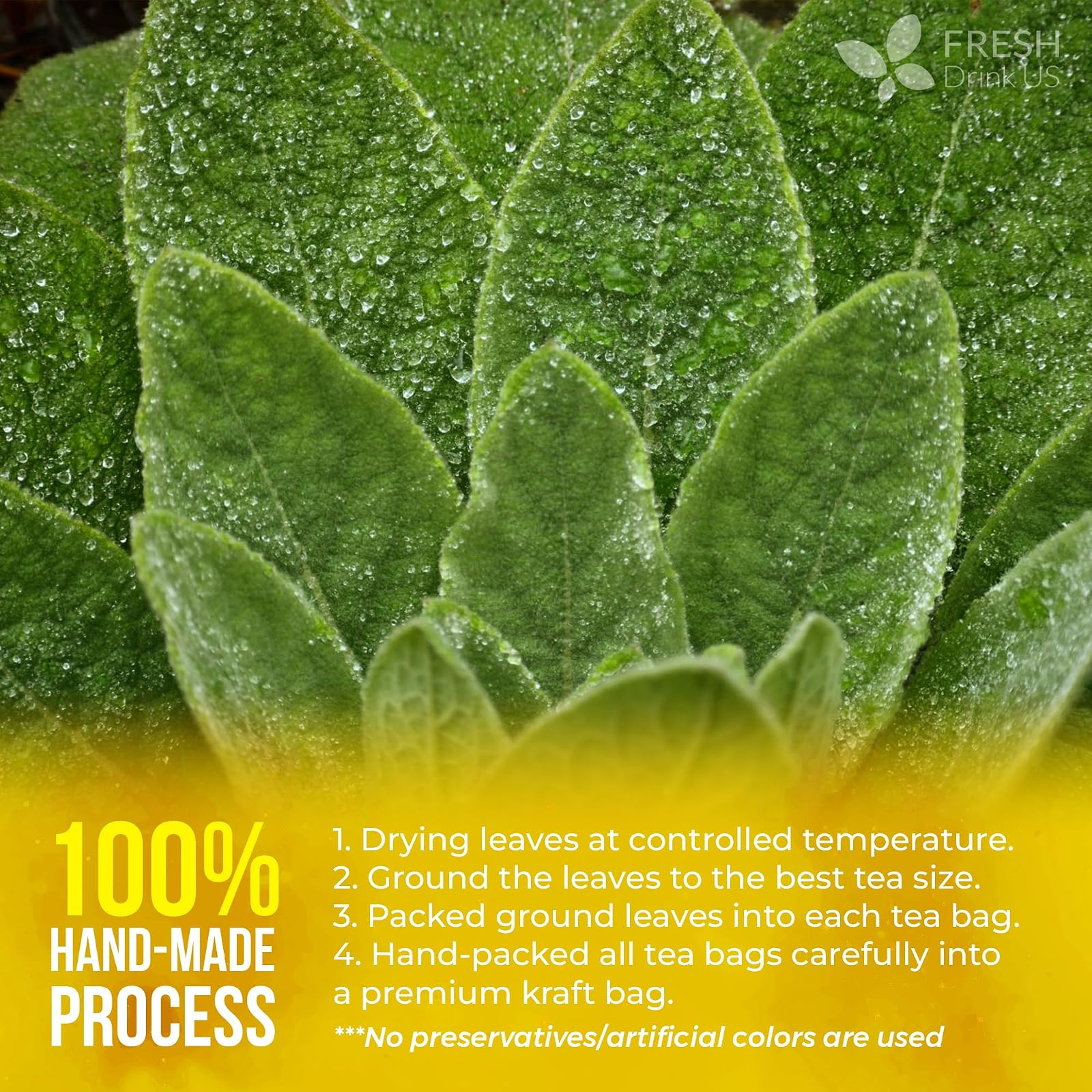 caffeine-free Mullein Leaf infusion