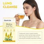 Caffeine-free Mullein Leaf tea
