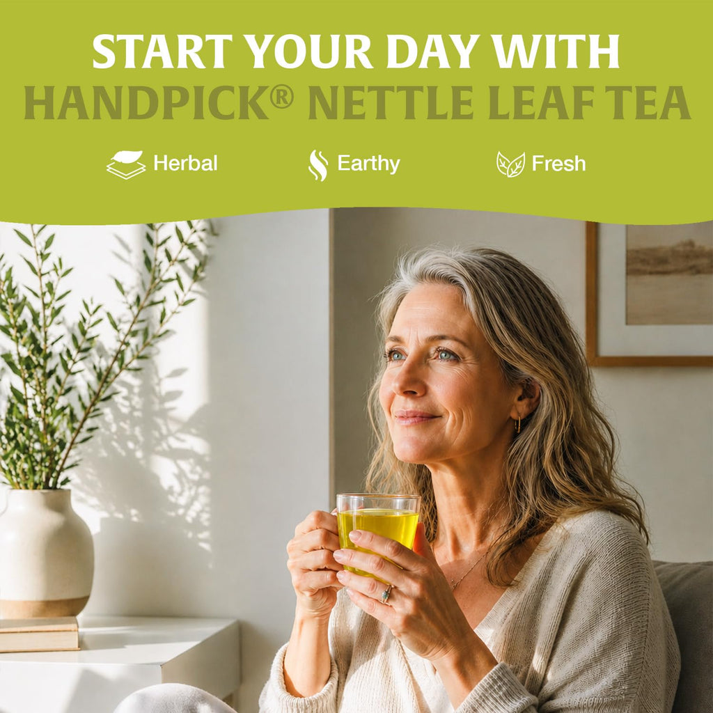 caffeine-free nettle leaf infusion