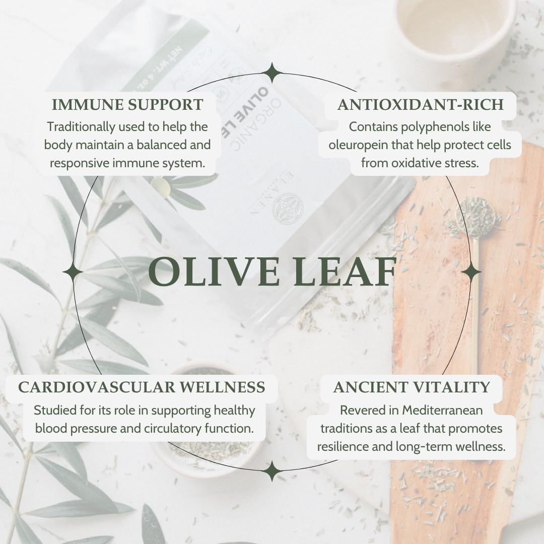 caffeine-free olive leaf infusion