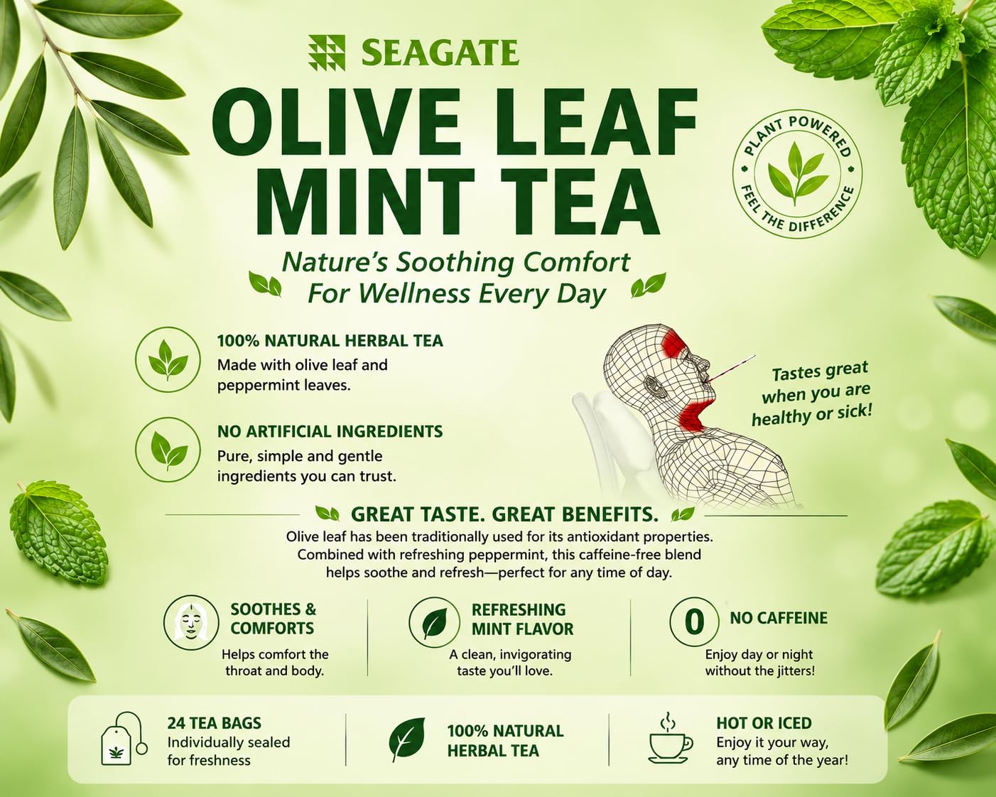 caffeine-free olive leaf tea