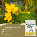 Caffeine-free organic senna tea