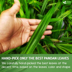 caffeine-free pandan leaf herbal infusion
