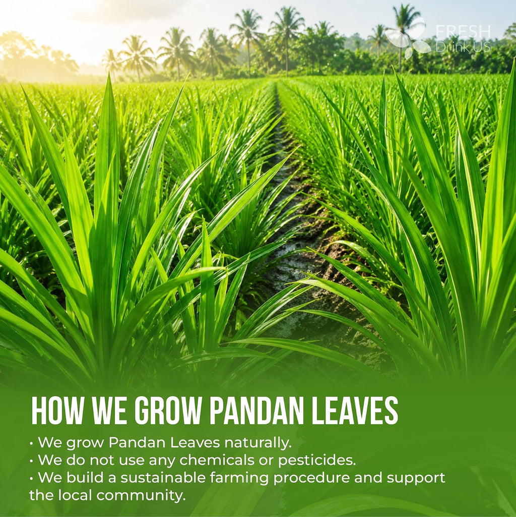 caffeine-free pandan tea option