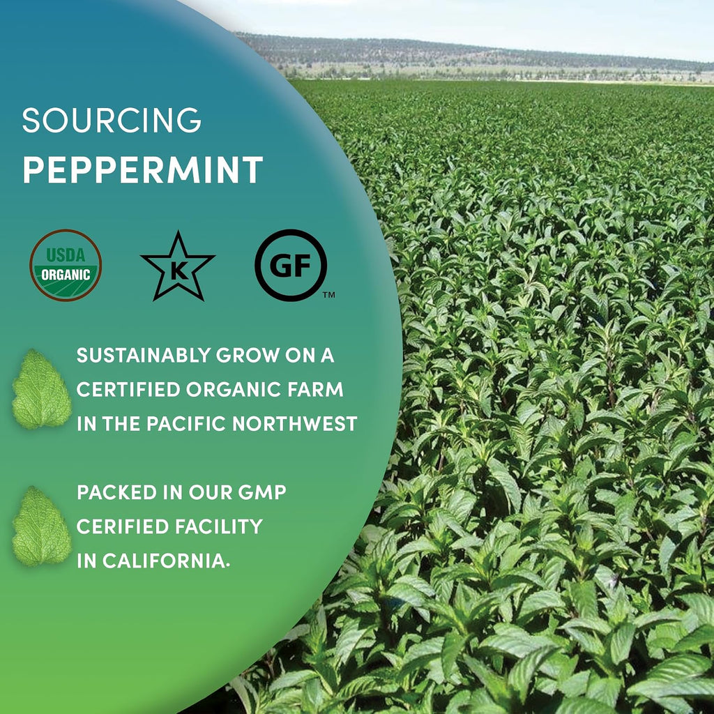 caffeine-free peppermint herbal infusion