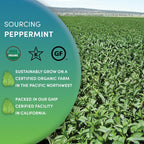 caffeine-free peppermint herbal infusion