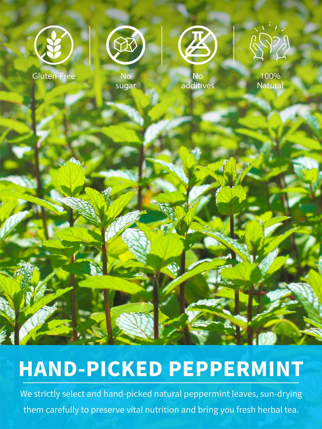 caffeine-free peppermint tea bags