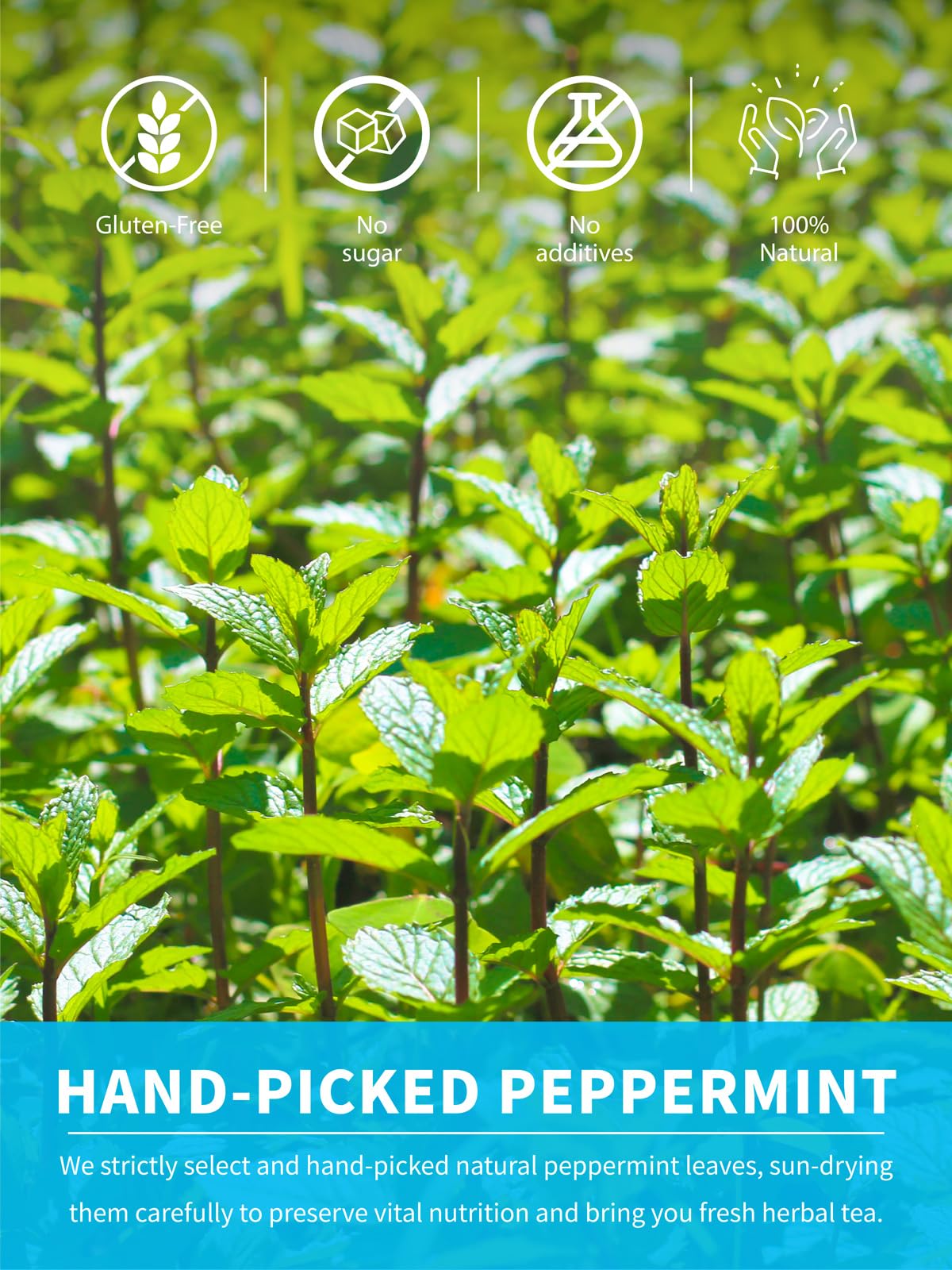 caffeine-free peppermint tea bags