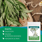 caffeine-free peppermint tea blend