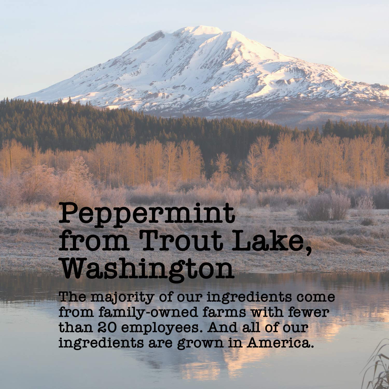 caffeine-free peppermint tea blend