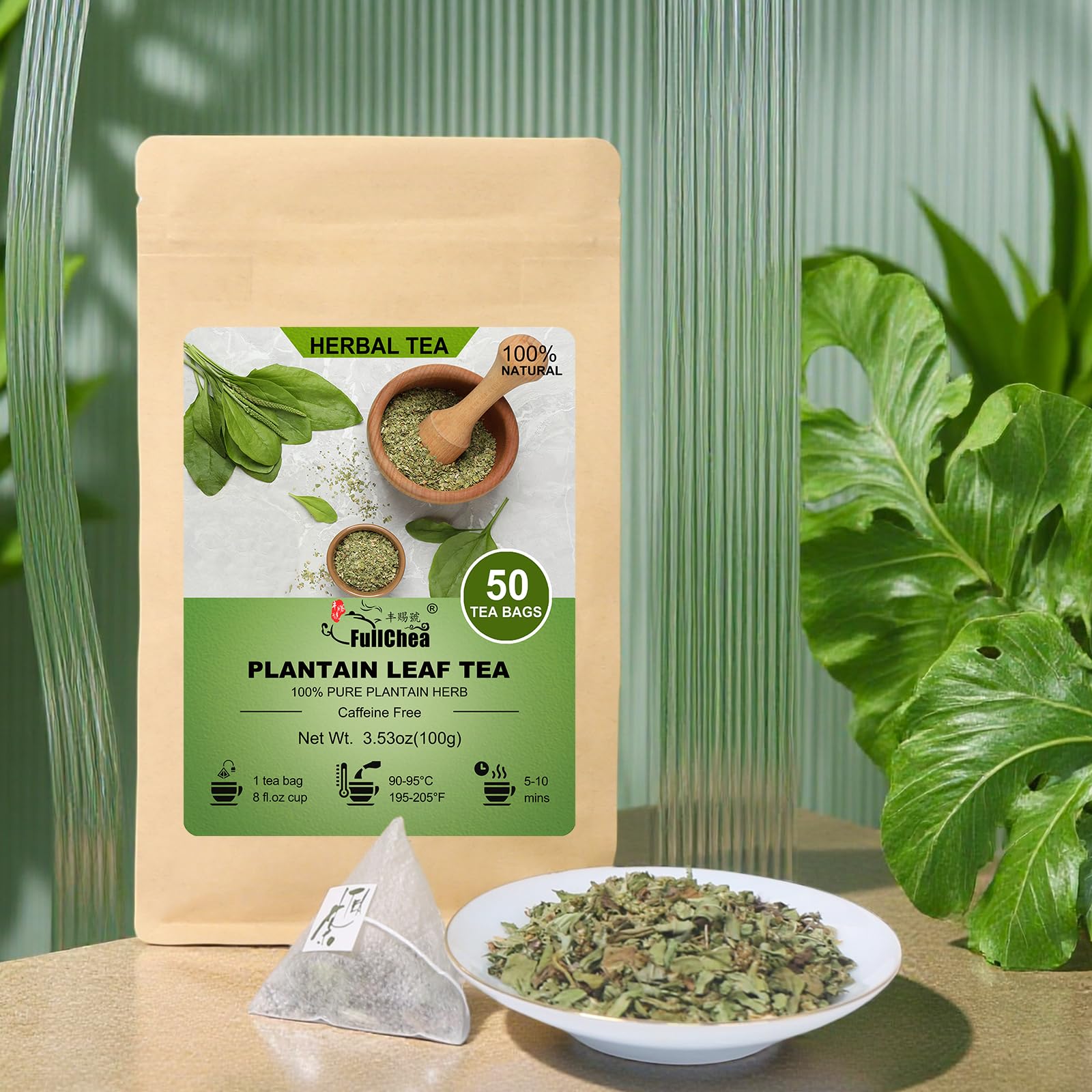 Caffeine-free plantain leaf infusion